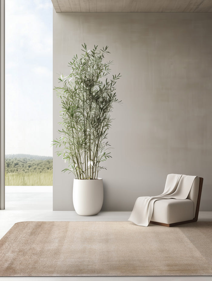 ORA Gradient | Neutral - Tappeti Fine Handcrafted Rugs + Carpets